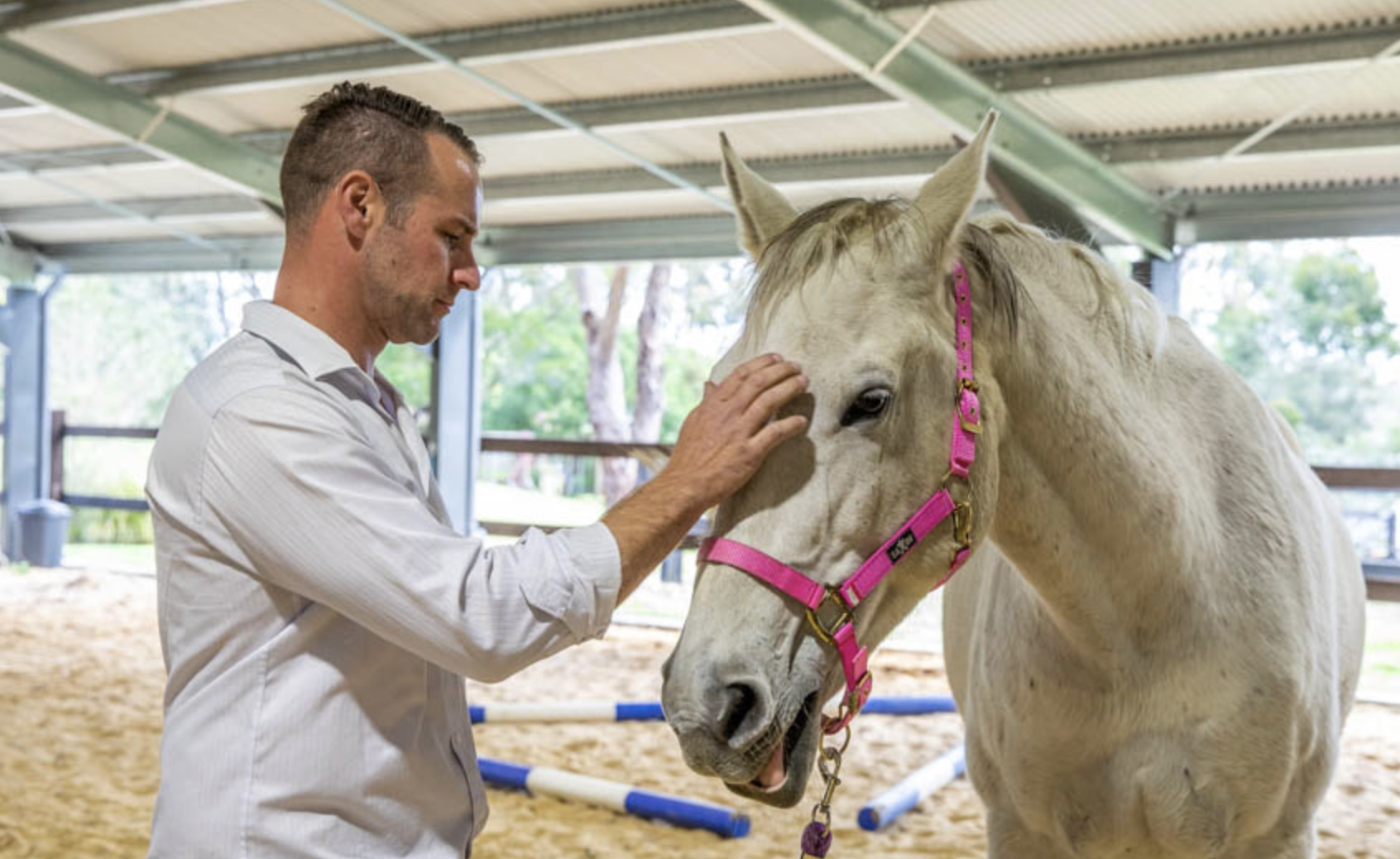 Unbridling Leadership Potential - Five Insights Straight from the Horse's Mouth - Leading Edge ...