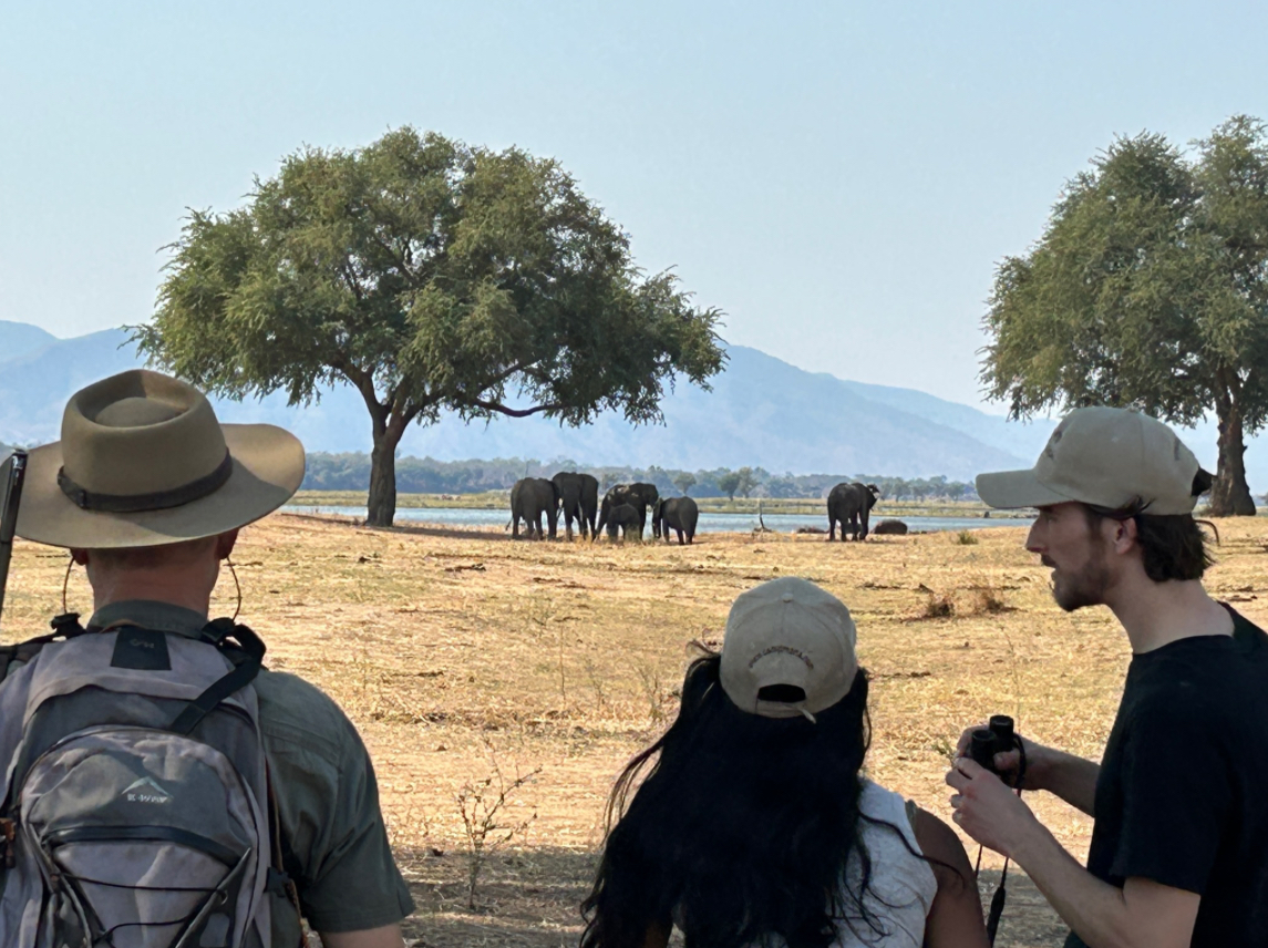 Elephantine Assisted Learning - What Elephants Can Teach Us About ...