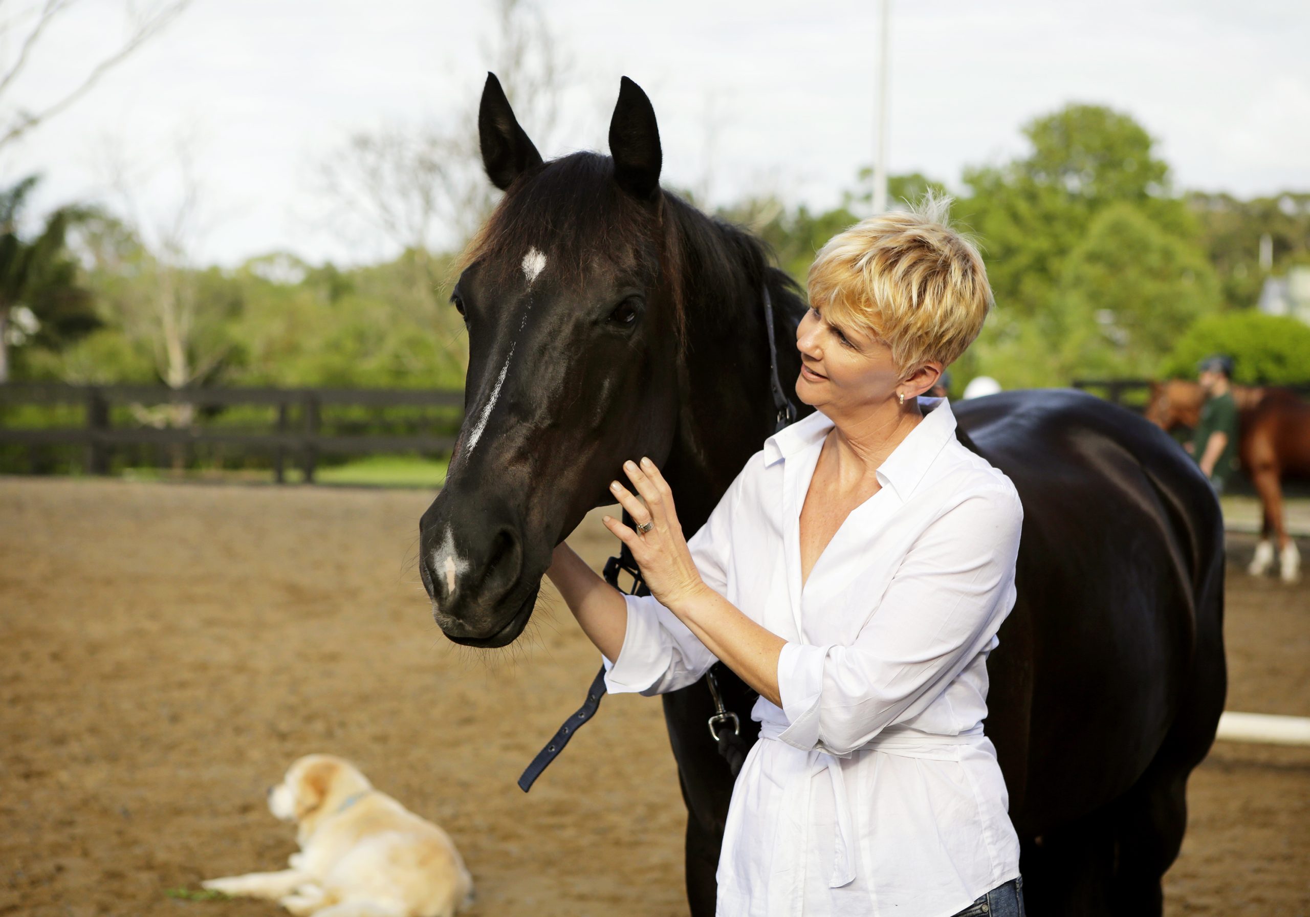 Executive Coaching with Horsepower: A Powerful Path to Authentic Leadership - Leading Edge ...