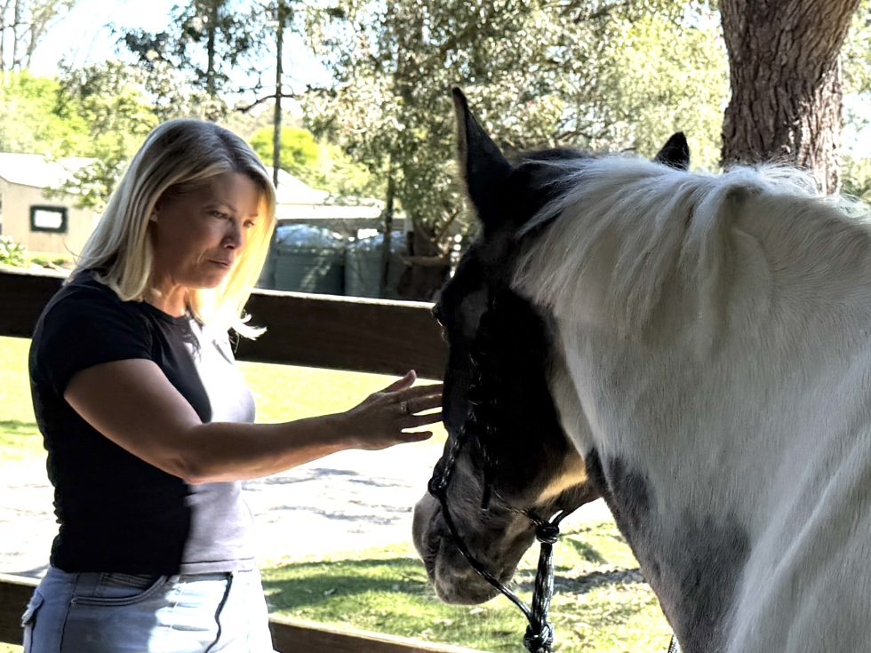 What Horses Can Teach Us About the Four Universal Needs of Leadership: Hope, Trust, Compassion ...